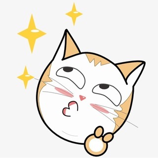 猫猫解说