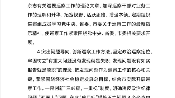 某市年度巡察工作总结及下一年工作计划(4098字)