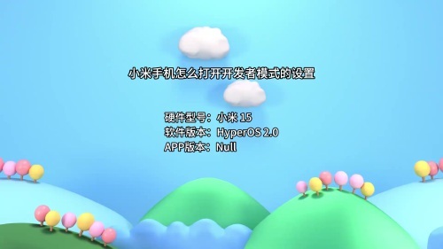 小米手机怎么打开开发者模式的设置 (1