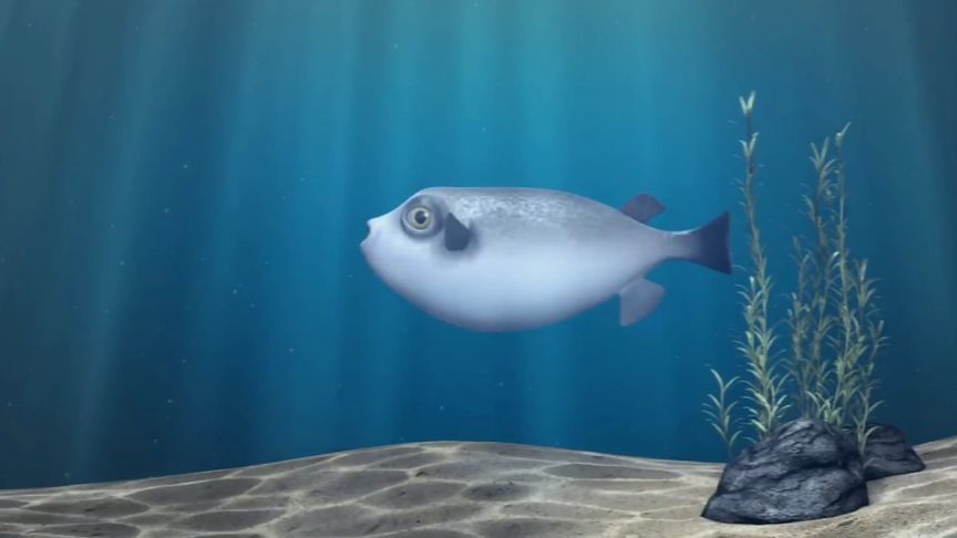 短小精悍趣萌动画《河豚》