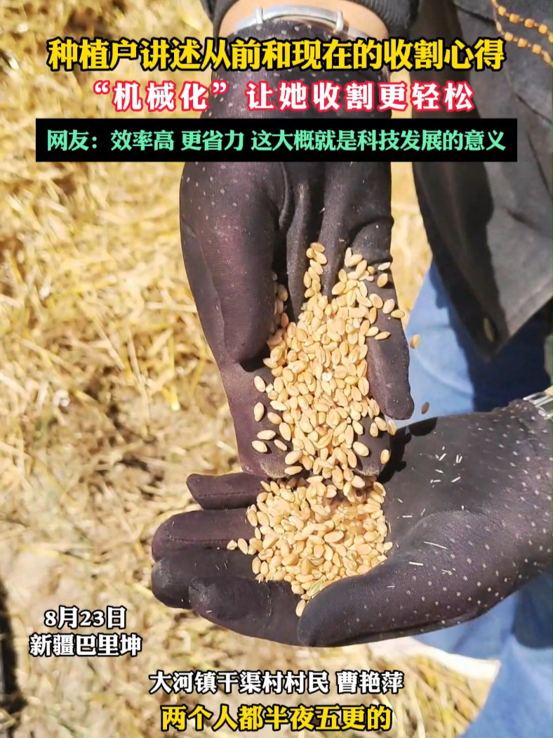 效率高更省力这大概就是科技发展的意义(作者:罗晶、张新龙