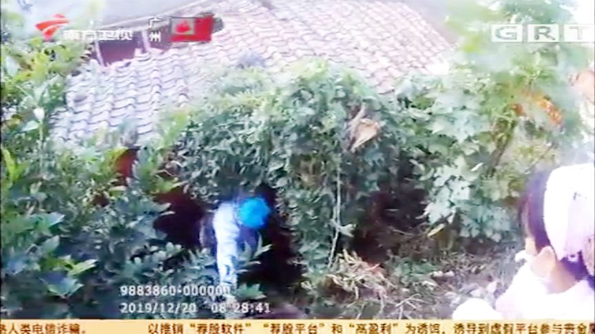 老人不慎掉下两米深巨坑,疯狂摇晃树枝引起注意,民警紧急施救