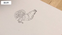 素描动物教程: 教你如何画好公鸡!