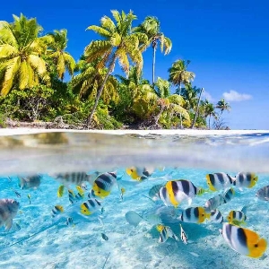 小钟闯天下解说 