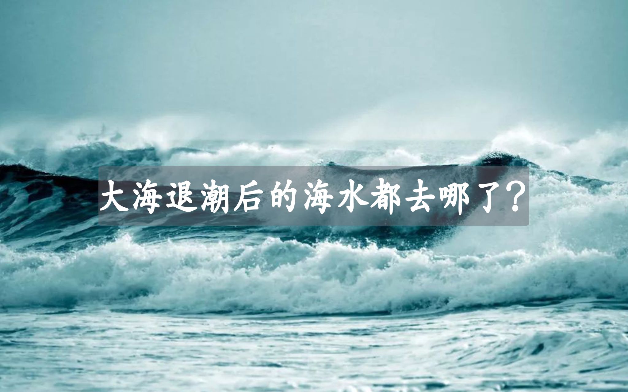 为什么大海会潮起潮落?退潮后的海水又去哪了呢?