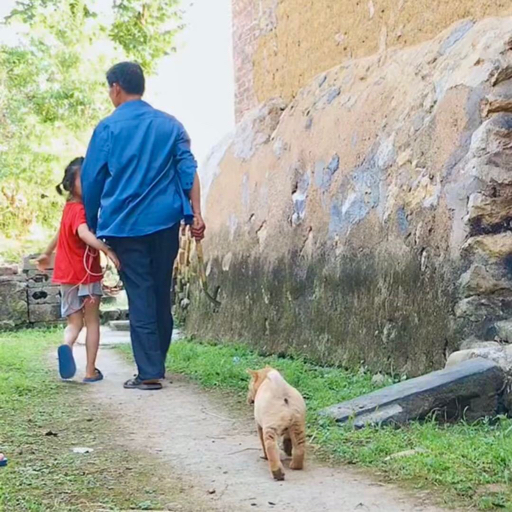 田园犬集市 