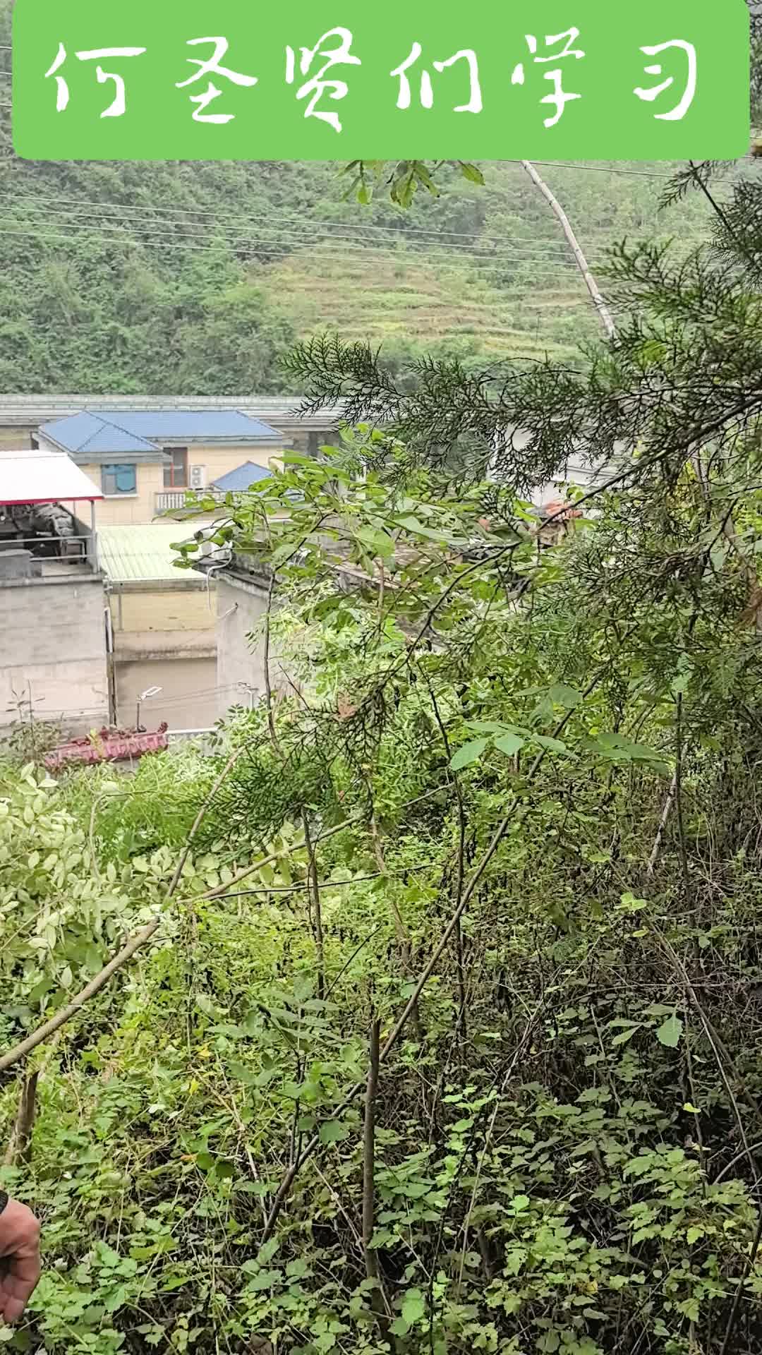 #向优秀名人学习,做应起之秀作品,发扬中华传统美德!