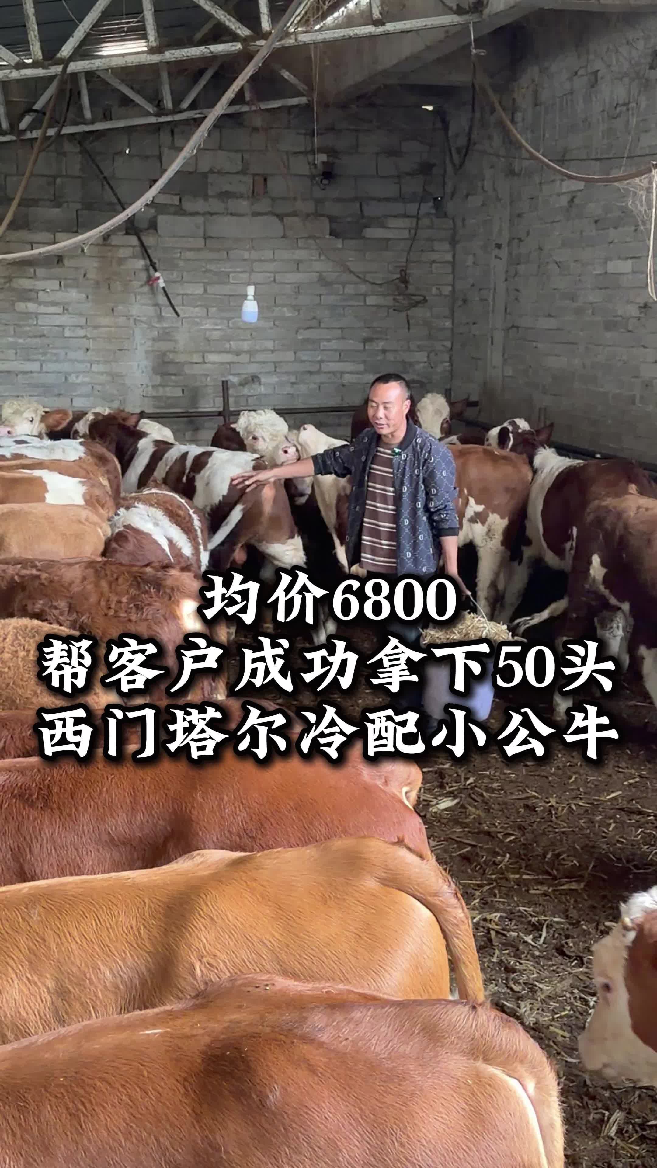 #三农 #热门nba #畜牧兽医专业 #记录真实生活