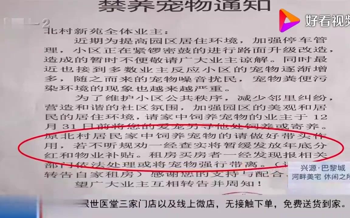 青岛一小区物业回应禁养宠物:犬只频伤人 将按相关条例管理【一刀切?...