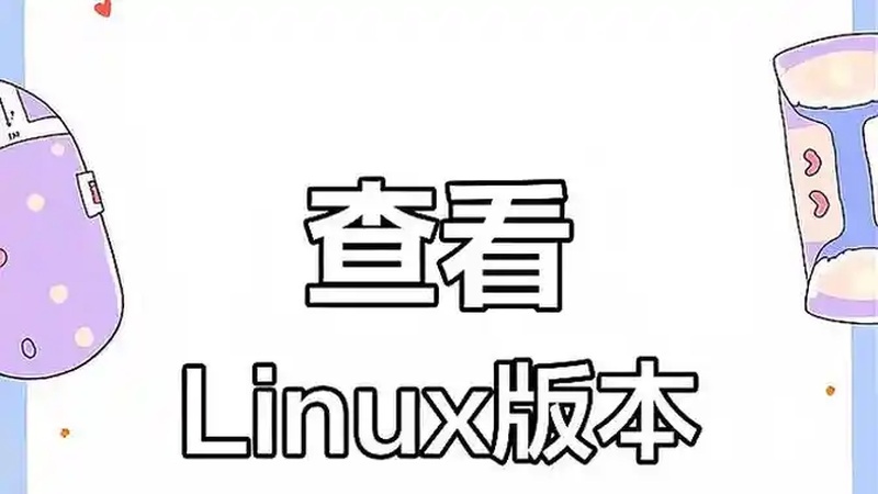 如何查看Linux系统版本,快速了解你的系统信息