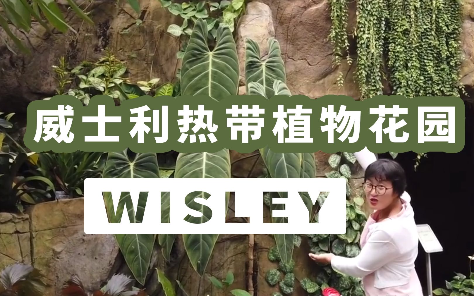 海妈花园访问 | 把一个热带雨林搬到室内是什么样的体验?