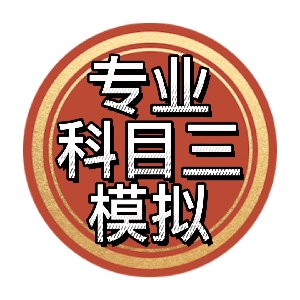 专注于科目三的刘教练 