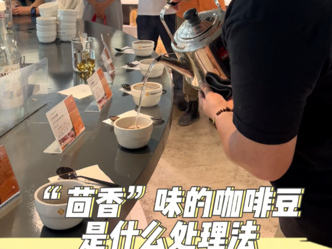 “茴香”咖啡豆是什么处理法?