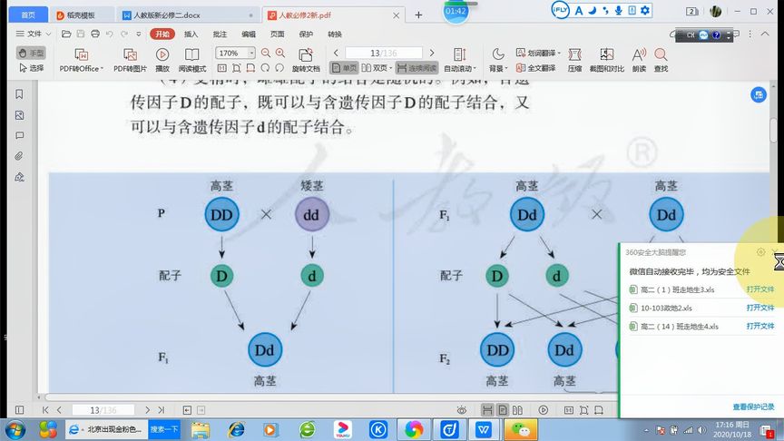 新人教版《遗传与进化》“对分离现象大解释、验证,分离定律”