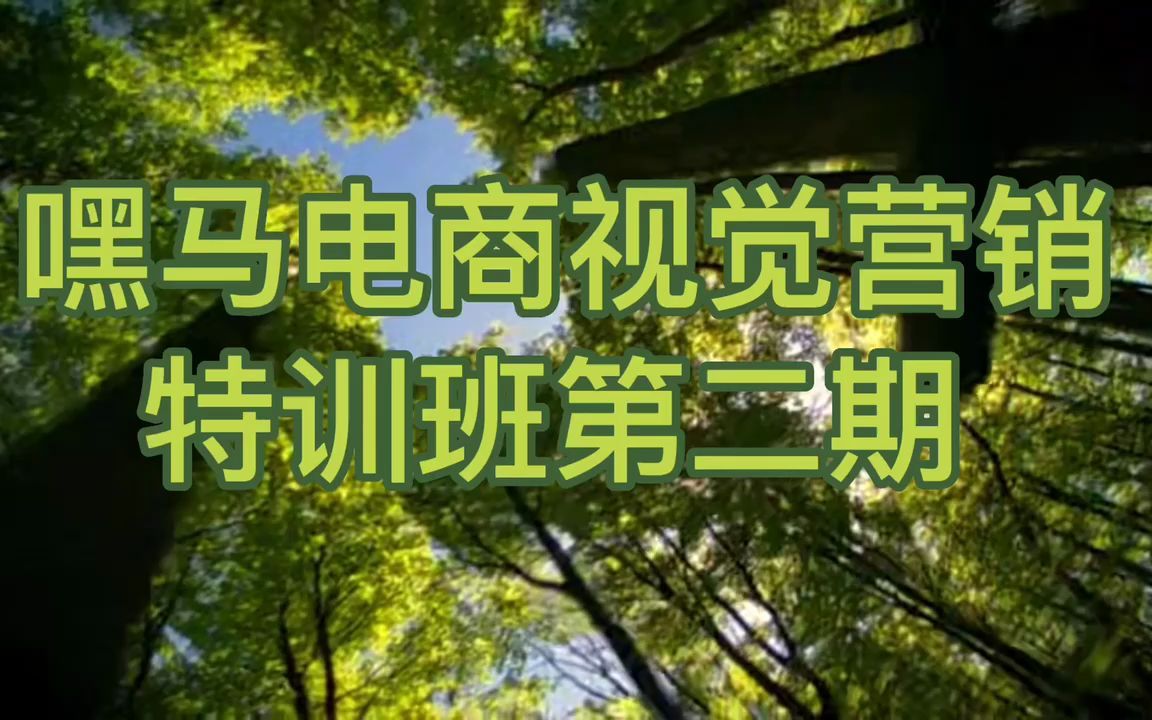 嘿马电商视觉设计特训班2022|有