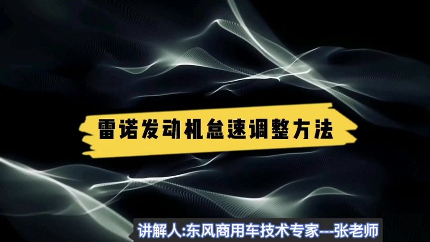 东风商用车技术专家张老师❤️为我们讲解雷诺发动机怠速调…