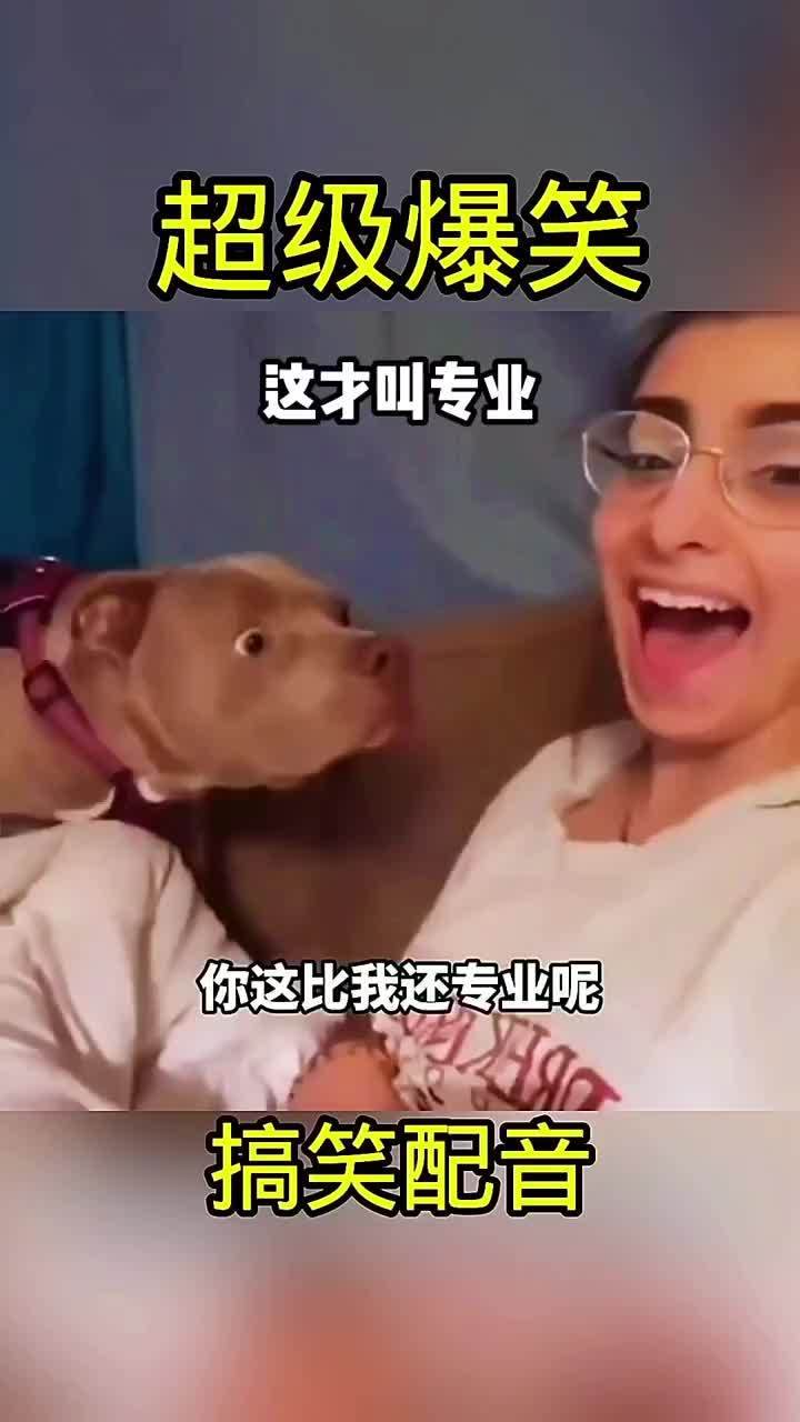 这叫声才叫专业,把狗狗激动坏了