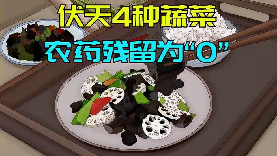 再贵也要买,三伏天这4种蔬菜农药残留为"0",可惜很多人不知道