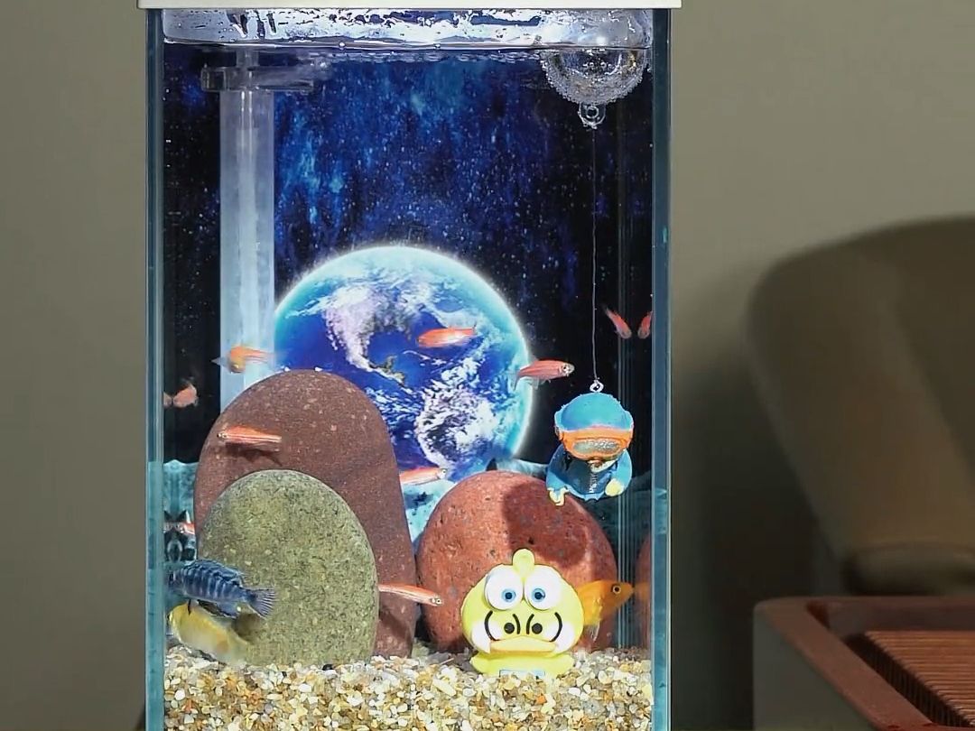 气动过滤生态缸安装造景视频