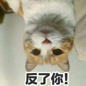 D黎若烟C 