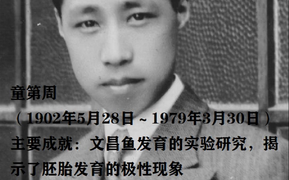 初一生物课堂:人体的结构层次