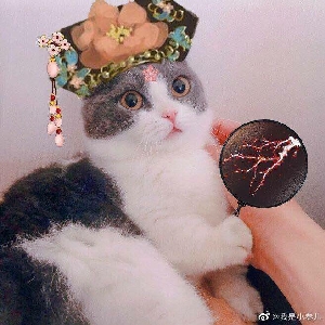 哈鹿哈鹿哈呦777 