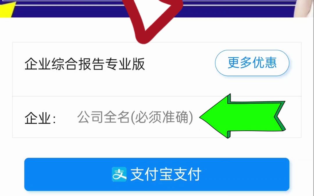 企业全面信息的查询验证