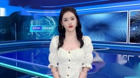 资产评估结论是否含税?