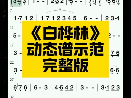 超级适合次中音萨克斯演奏的《白桦林》动态谱示范来啦,来自于九奏...
