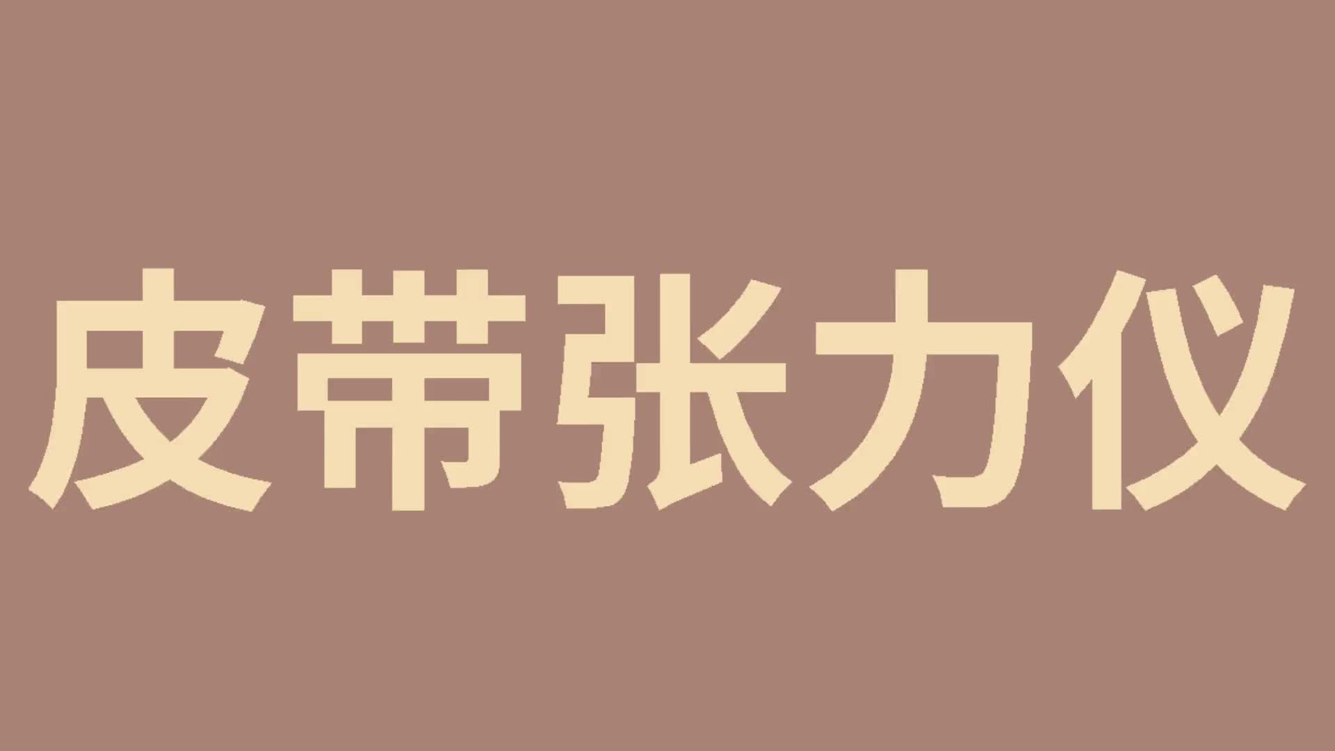 皮带张力仪#原装进口