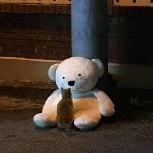 松鼠症患者集合地 