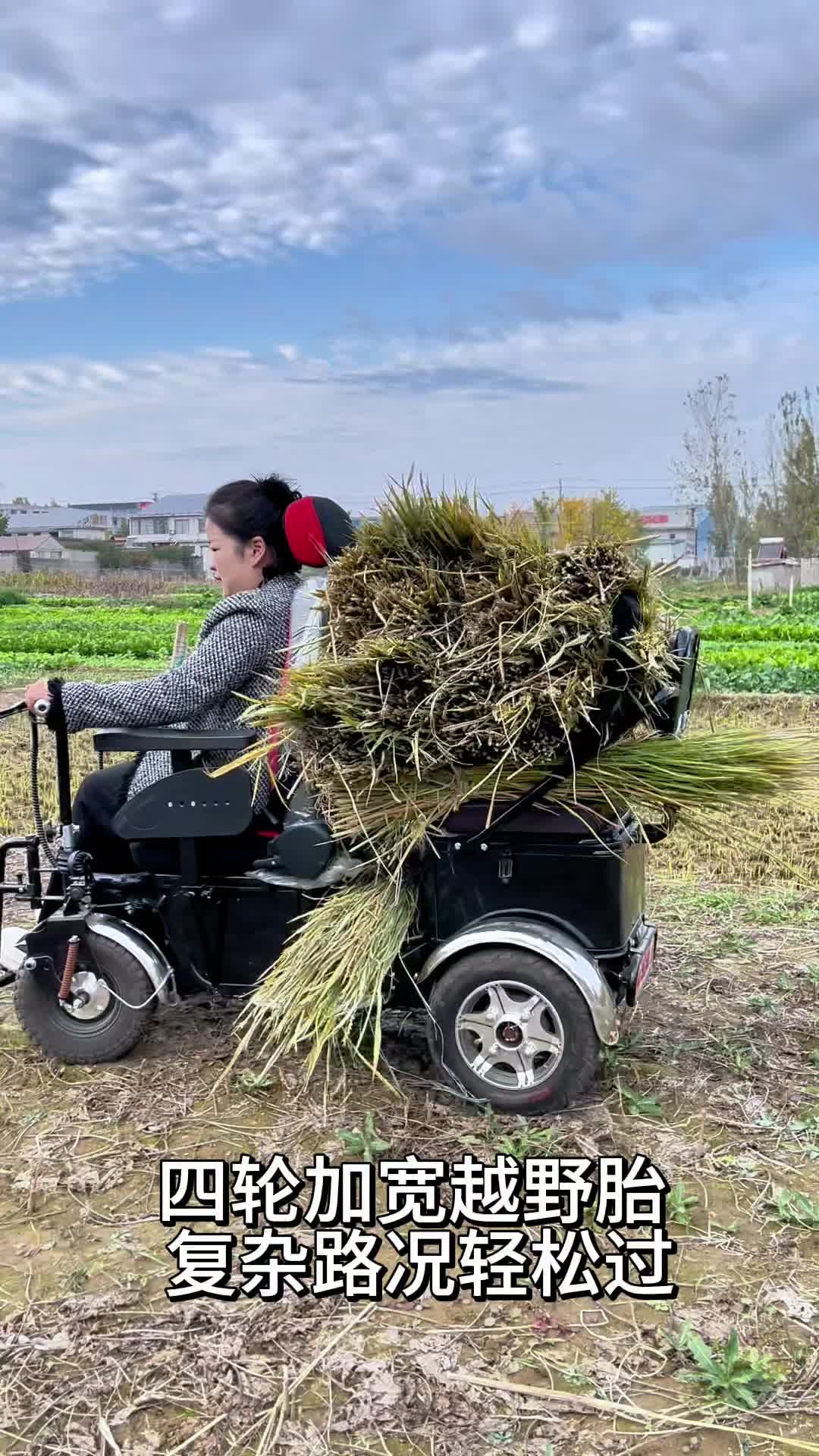 两个人出门太简单了 双人电动轮椅代步车动力十足 #残疾人的生活 #...