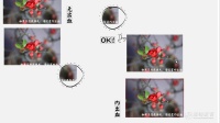 AI基础教程_出血的含义和设置