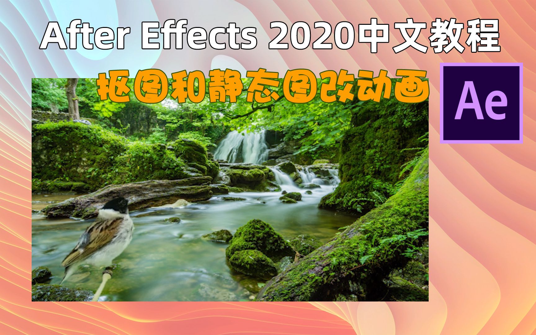 10 AE实例教程之抠图和静态图片做成动画手把手教你学AE特效系列...