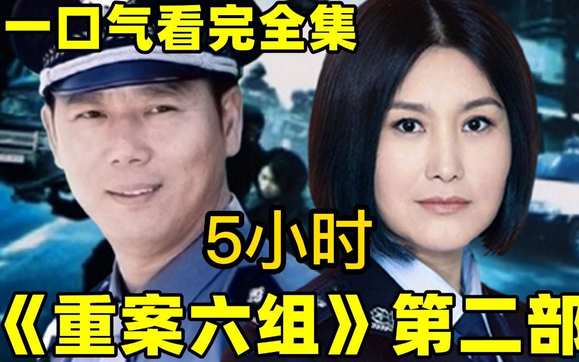 一口气看完经典刑侦破案神剧【重案六组】第二部,多个真实案例,破案...