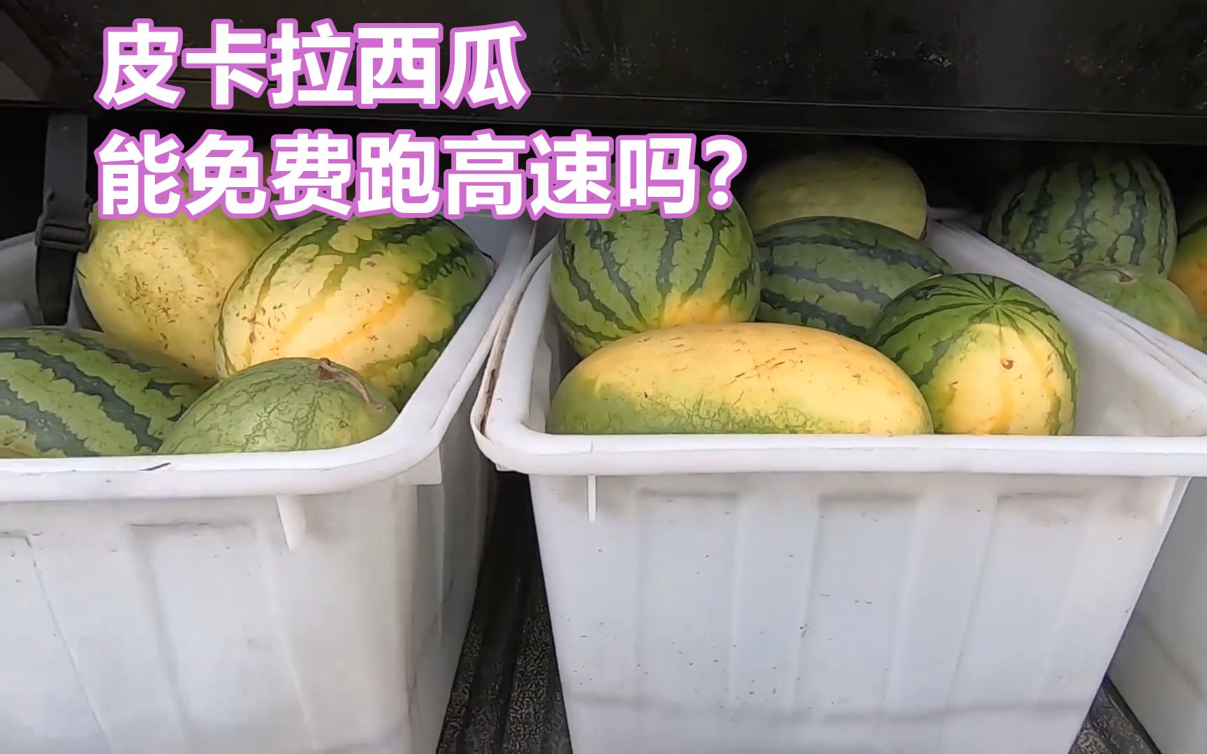 皮卡拉西瓜能免费跑高速,是真的吗?需要满足哪些条件呢
