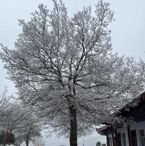 苏打水打气 