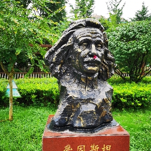 Jessie不是乔巴 