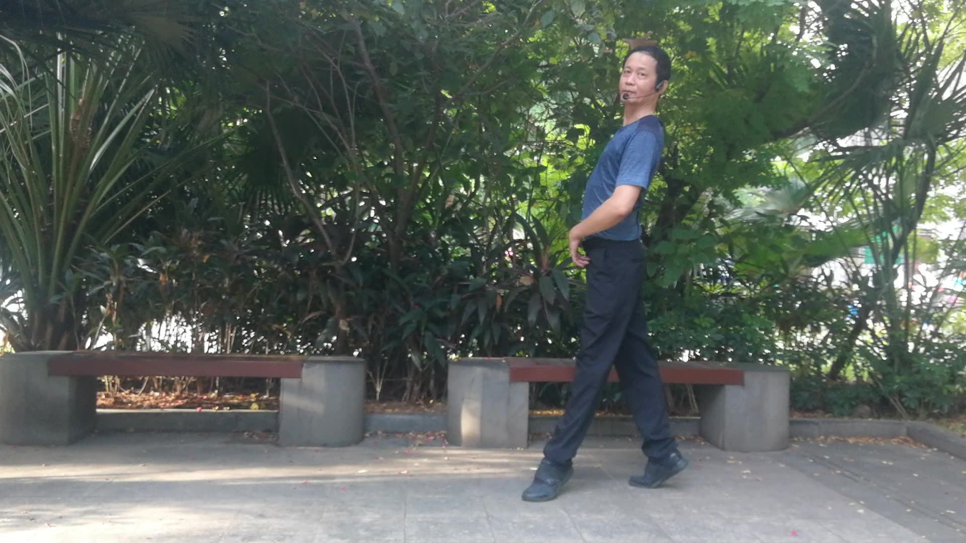 交谊舞舞姿动作视频教学-中四篇