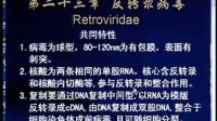 中国医科大学 18肝炎病毒逆转录病毒