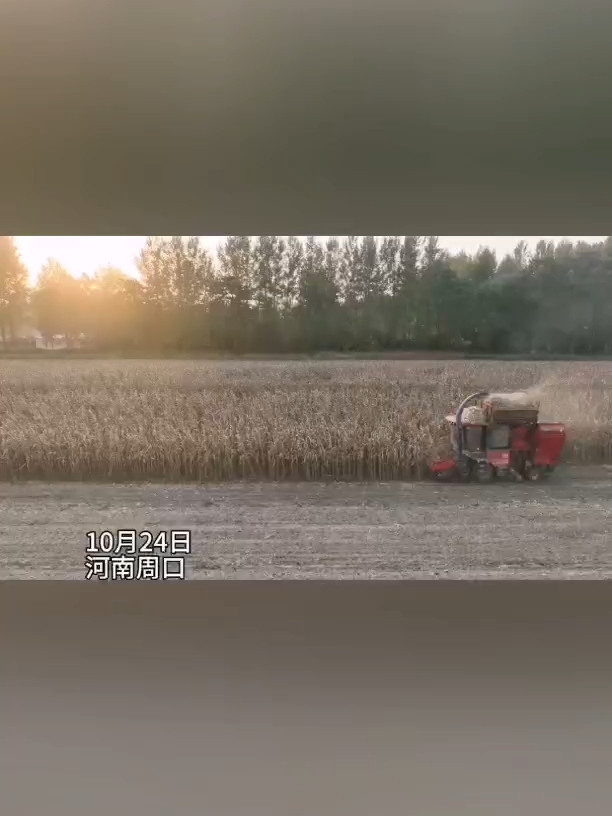 秸秆综合利用率达到94%