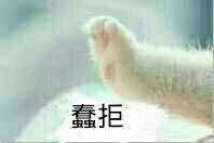 任性的逗逼君 
