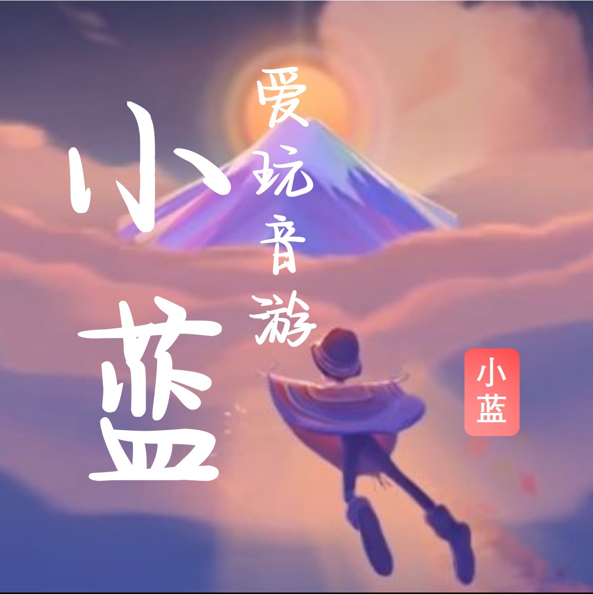 爱玩音游的小蓝 
