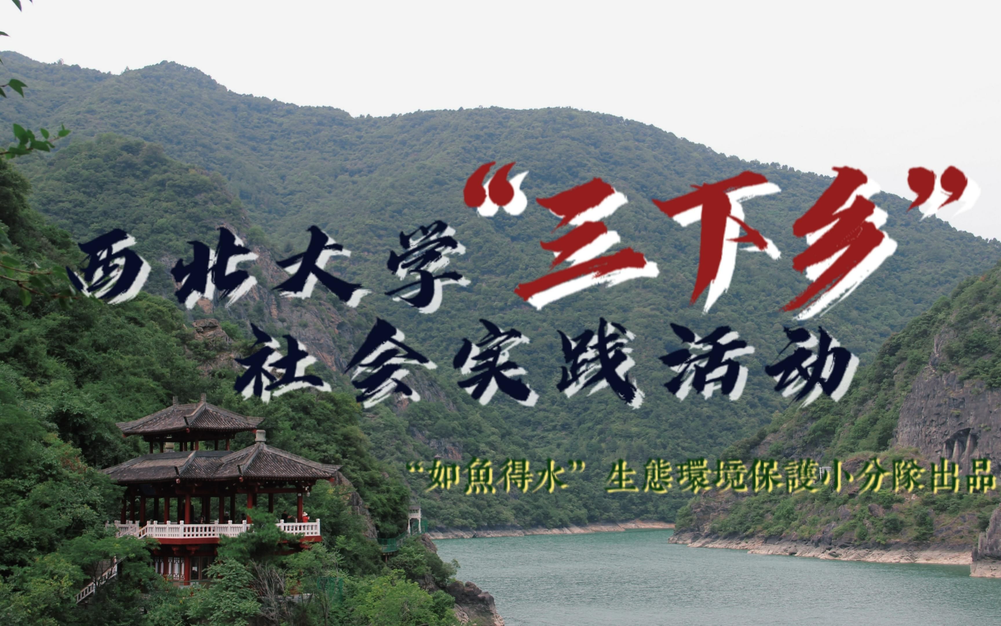 西北大学“三下乡”社会实践活动全记录