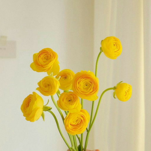 花花老师讲数学 