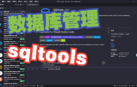 vscode插件分享-数据库管理sqltools