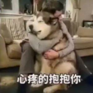 大家叫我阿猛 