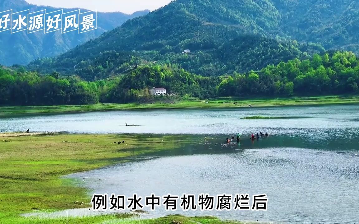 无机物氧化,为什么会引起水体缺氧?