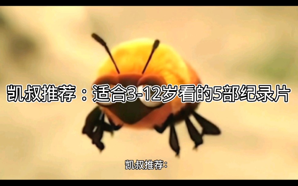 凯叔推荐:适合3-12岁孩子看的5部纪录片,请收藏