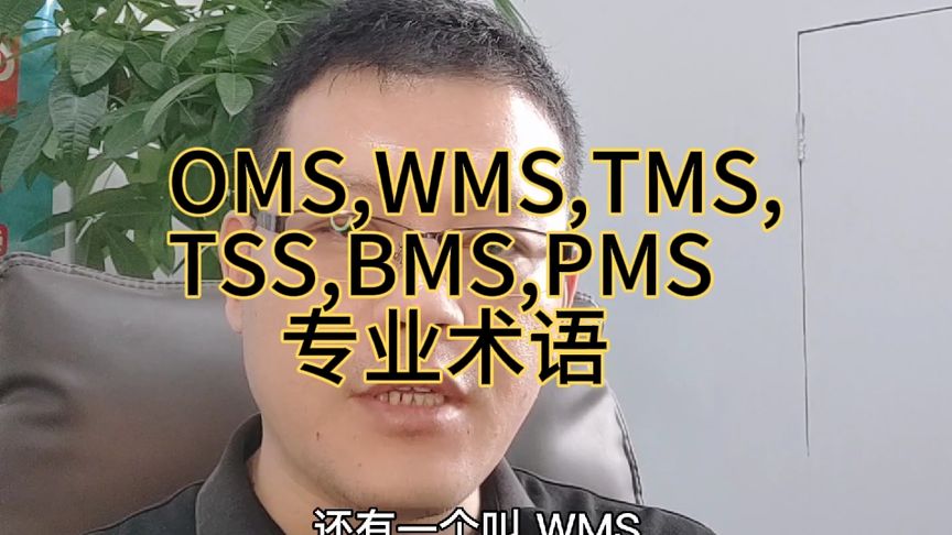 OMS,WMS,TMS,TSS,BMS,PMS只有专业的物流人才能懂的,云仓专配。